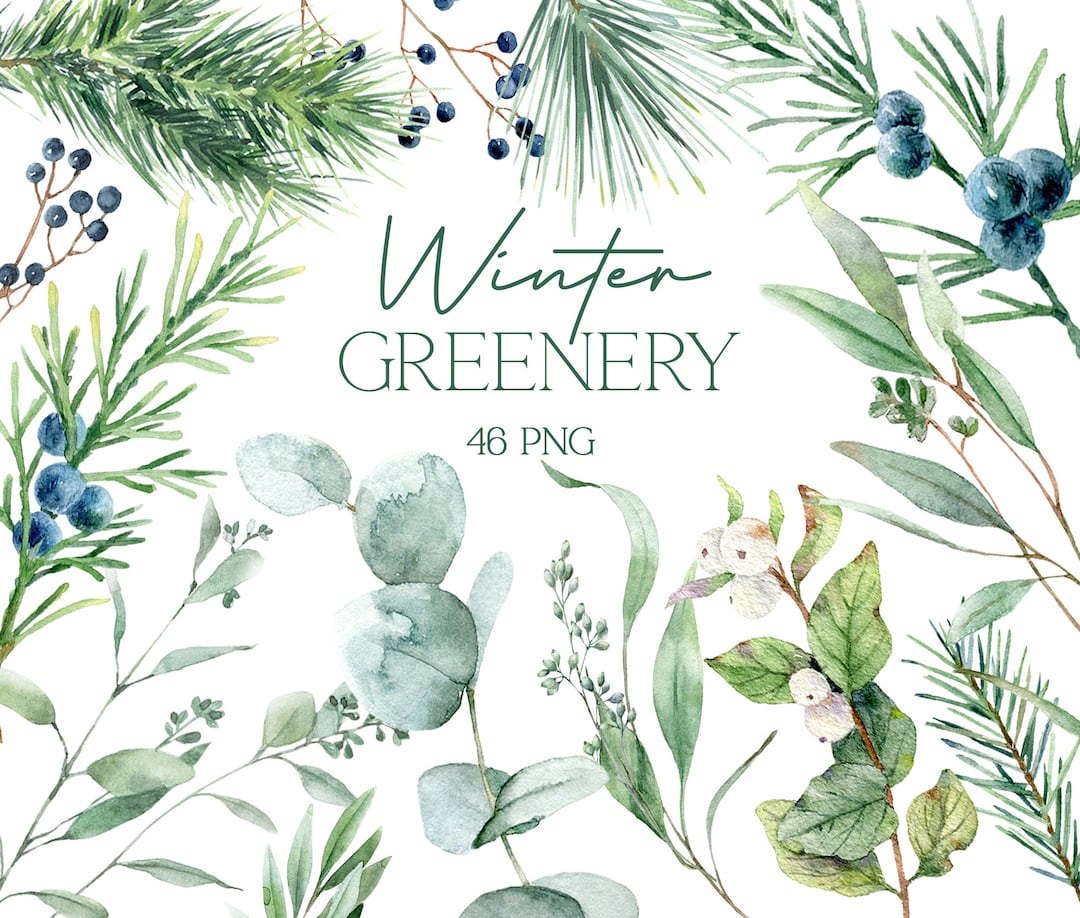 Watercolor Greenery Clipart, Eucalyptus Clip Art, Green Leaves ...