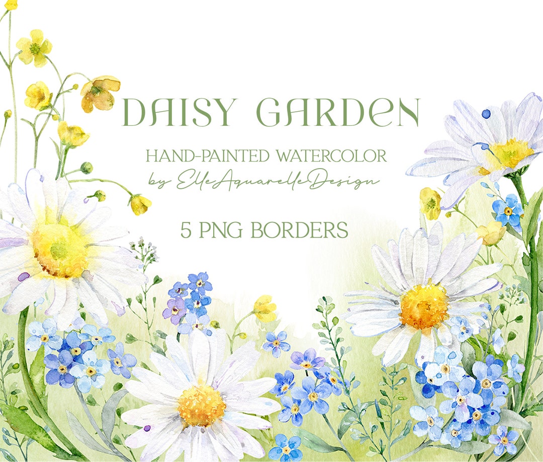 Watercolor Daisy Clipart, Watercolor Flowers, Floral Border, Daisies ...