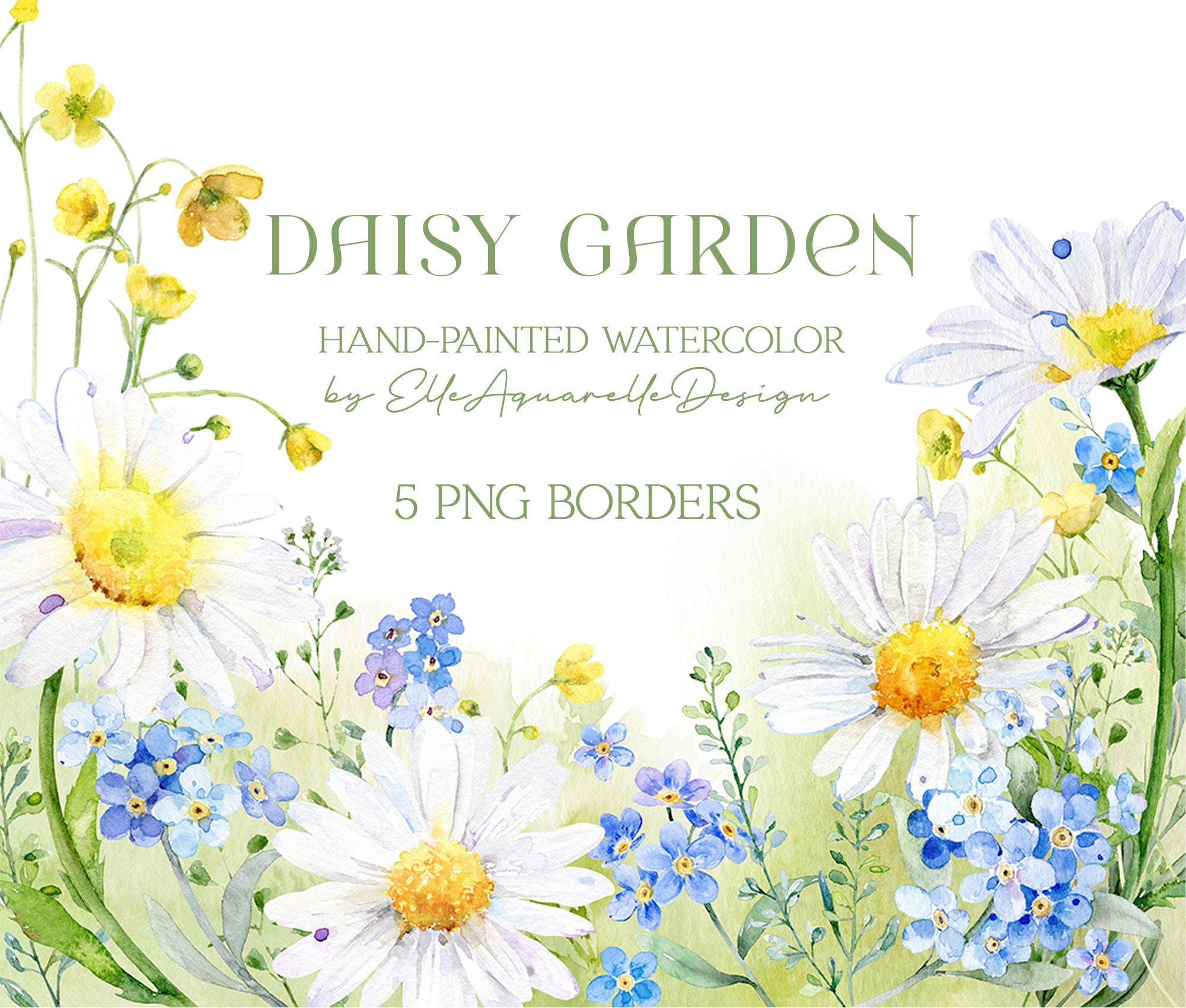 Watercolor Daisy Clipart Watercolor Flower Floral Border - Etsy