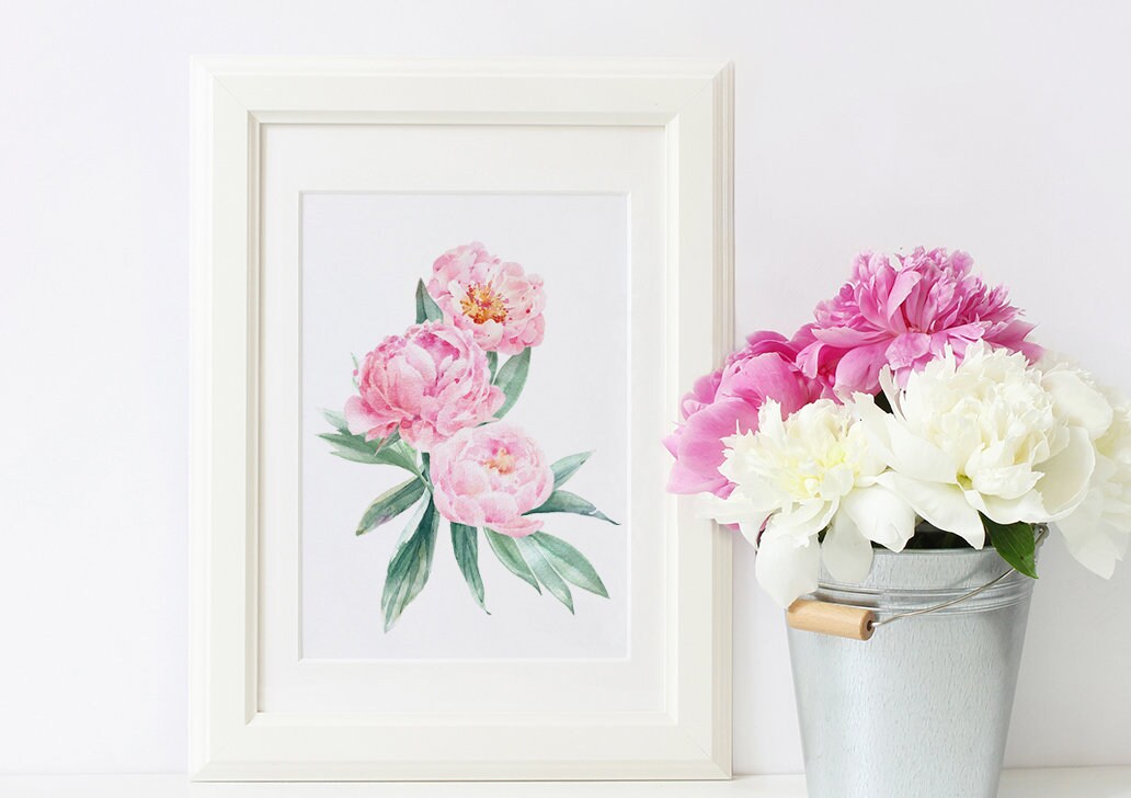 Watercolor Peonies Clipart Peony Clip Art Wedding Floral - Etsy