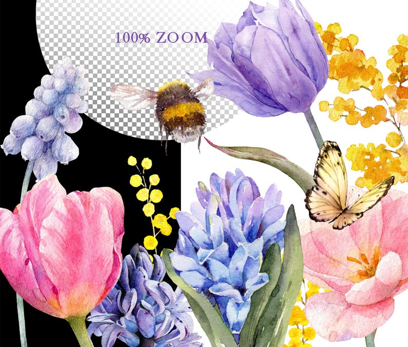 Watercolor Spring Flower Clipart, Tulip Clip Art, Spring Clipart ...