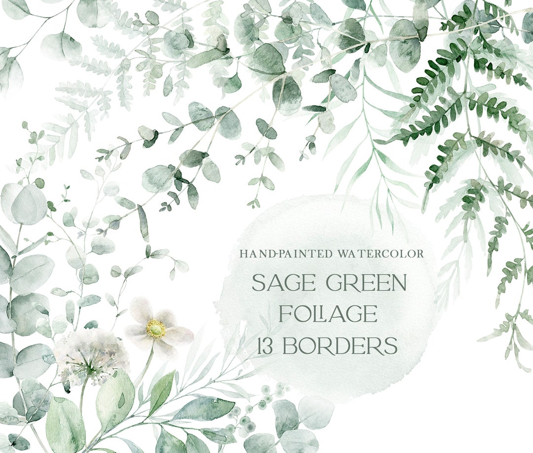 Sage Green Border Clipart Watercolor Eucalyptus Drop - Etsy