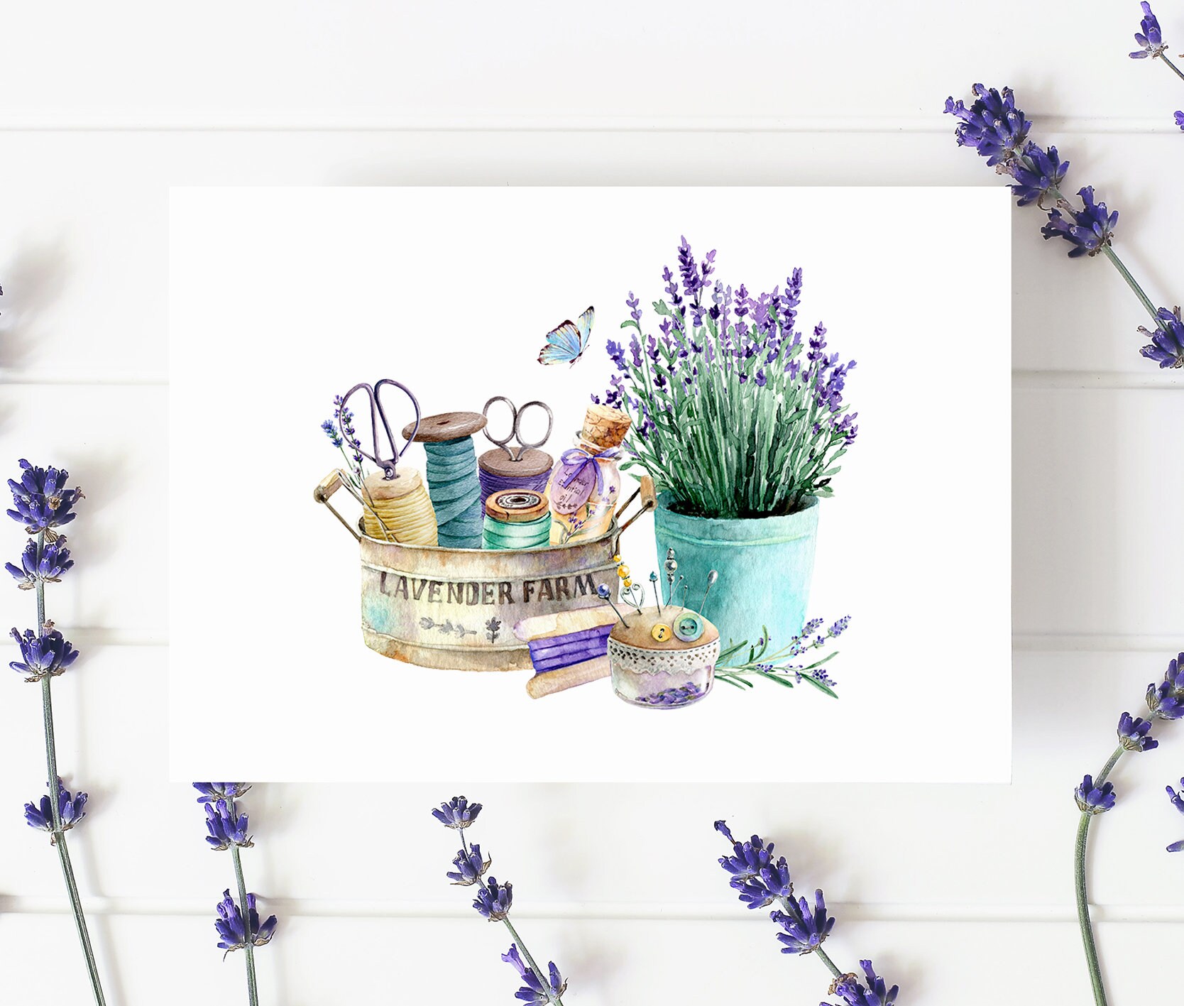 Lavender Watercolor Clipart Provence Clip Art French - Etsy