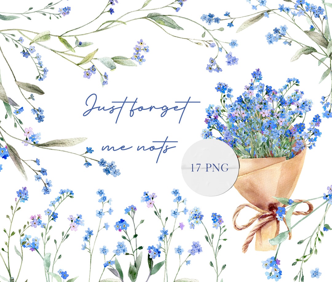 Forget Me Not Watercolor Clipart, Blue Flowers Png, Wedding Clipart ...