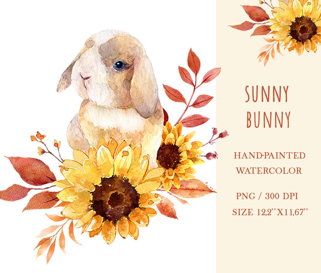 Cute Bunny Clipart Rabbit Png Bunny Watercolor Baby Shower - Etsy