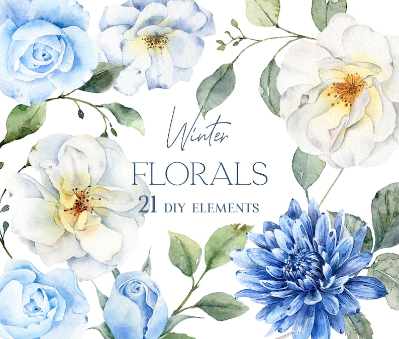 Watercolor Roses Clipart Floral Clipart Roses Png White - Etsy