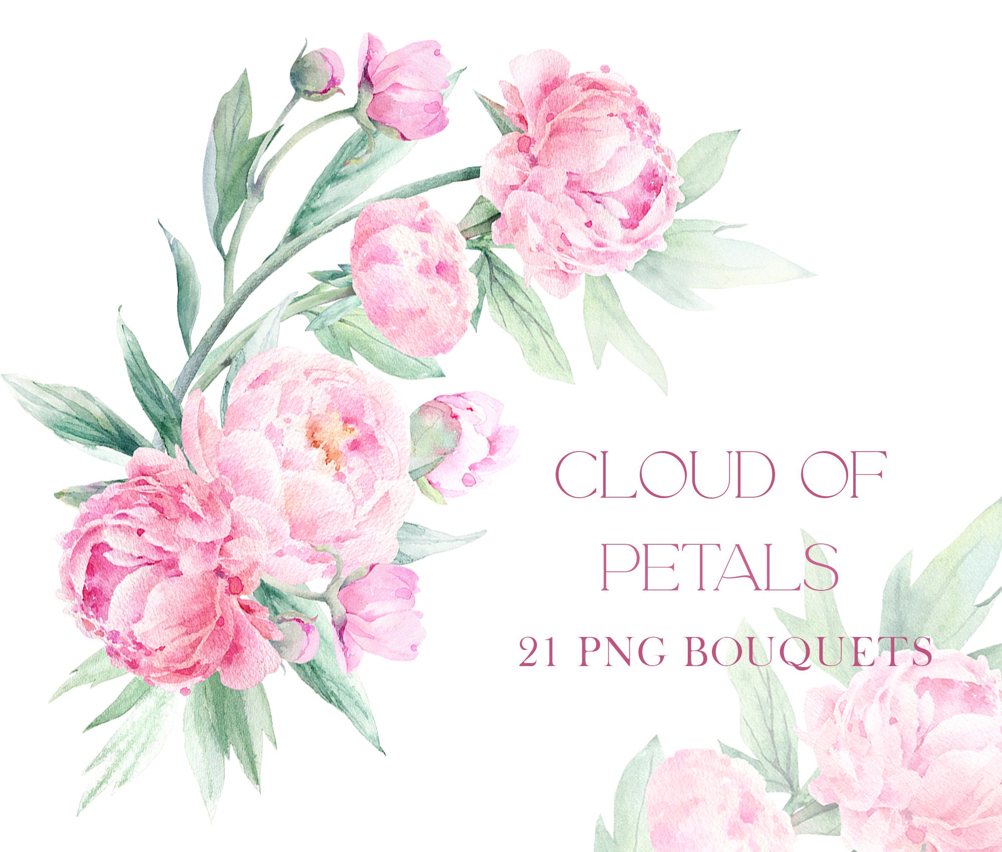 Watercolor Peonies Clipart Pink Floral Clipart Watercolor - Etsy