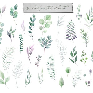 Greenery Clipart Bundle, Eucalyptus Border Watercolor Clipart ...