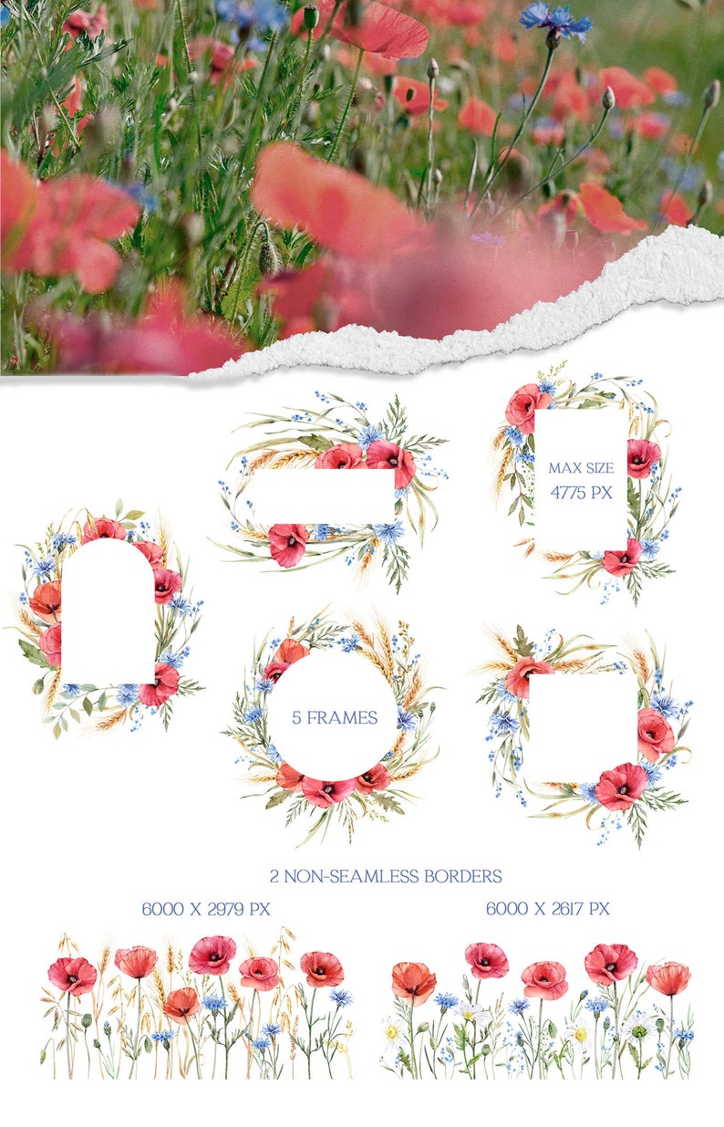 Watercolor Flowers Clipart, Red Floral Border, Poppies Frame Clipart ...