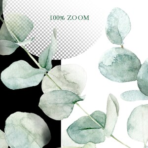 Watercolor Eucalyptus Border, Greenery Frame Clipart, Botanical Wedding ...