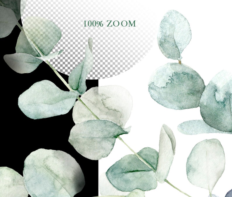 Watercolor Eucalyptus Border Greenery Frame Clipart - Etsy