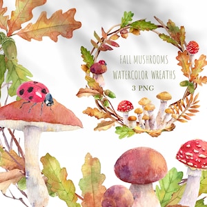 Watercolor Mushrooms Clipart, Fall Clipart Png, Watercolour Fall ...