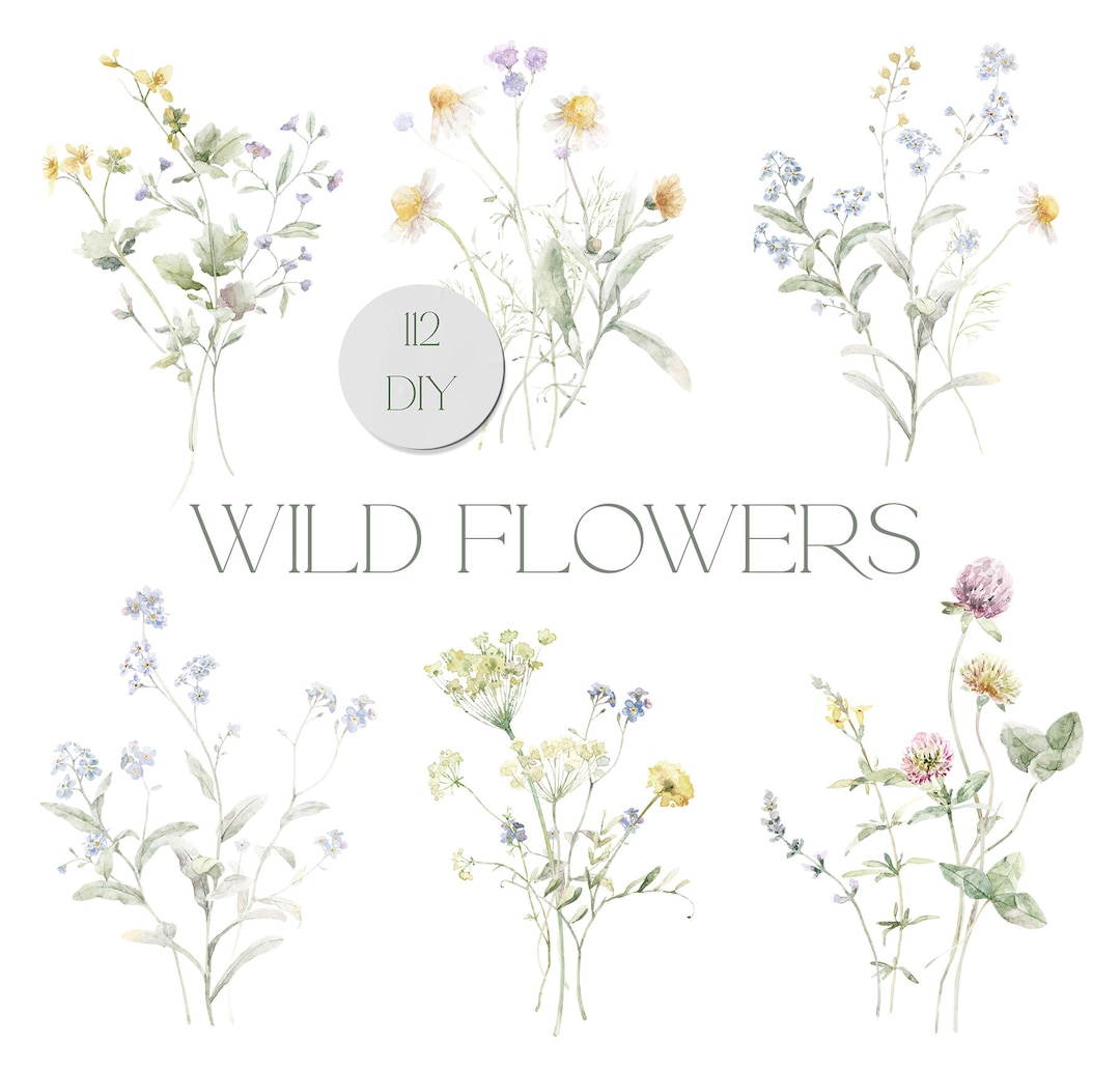 Watercolor Wild Flowers Clipart, Watercolor Floral Clipart, Wildflowers ...