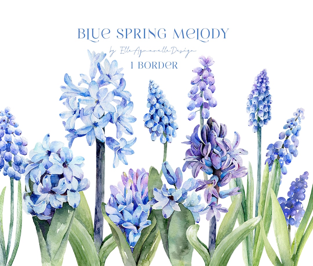 Spring Clipart, Blue Flowers Watercolor Clip Art, Hyacinth, Muscari ...