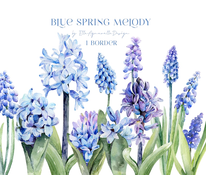 Spring Clipart Blue Flowers Watercolor Clip Art Hyacinth - Etsy