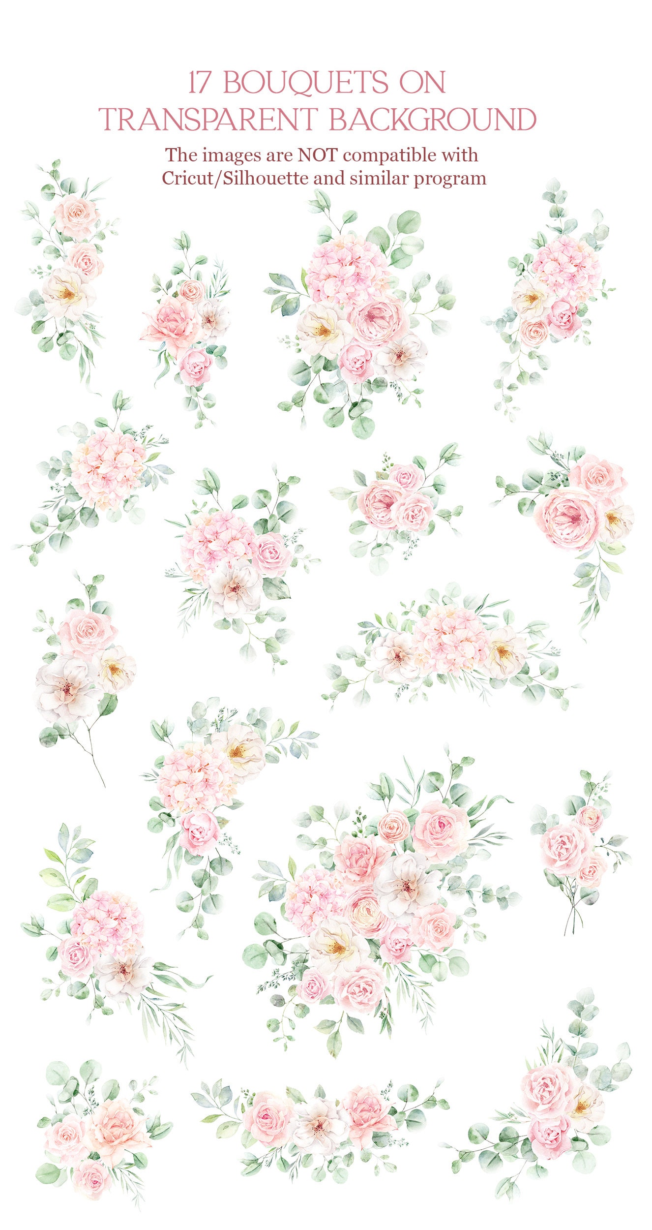 Watercolor Pink Flower Clipart, Floral Clipart, Blush Pink Roses ...
