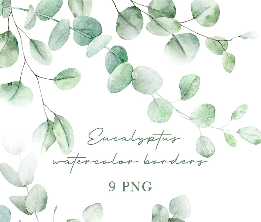 Watercolor Eucalyptus Border, Eucalyptus Png, Botanical Wedding Clipart ...
