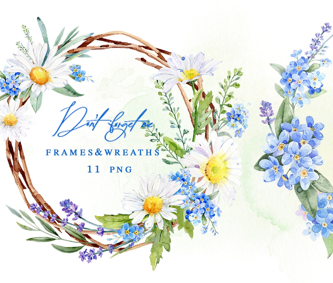 Daisy Flower Watercolor Clipart Frame Camomile Clipart - Etsy