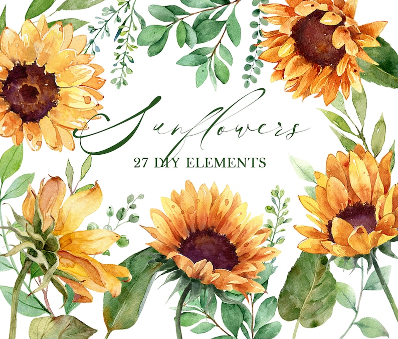 Watercolor Sunflower Clipart Sunflowers Png Wedding - Etsy