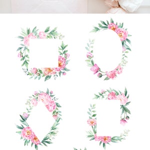 Watercolor Peony Clipart, Peonies Png, Blush Pink Flowers Clipart ...