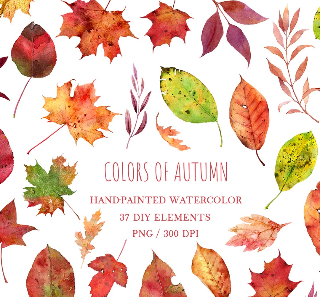 Fall Leaves Clipart, Fall Clipart Png, Leaf Watercolour Clip Art, Fall ...
