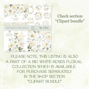 White Rose Watercolor Clipart – Ivory Floral Border PNG - Watercolour ...