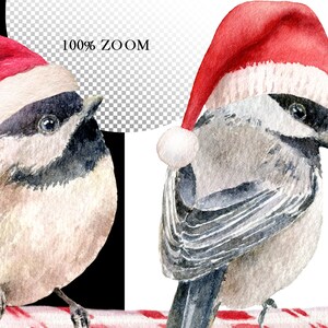 Chickadee Clipart, Watercolor Winter Birds, Bird Clip Art, Christmas Png, Chickadees ...