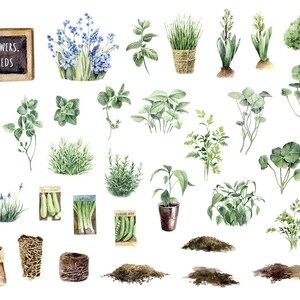 Watercolor Gardening Clipart, Rustic Farmhouse Clip Art, Garden Tools ...