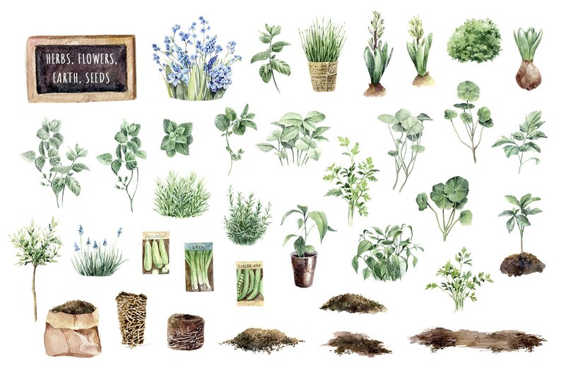 Watercolor Gardening Clipart Rustic Farmhouse Clip Art - Etsy