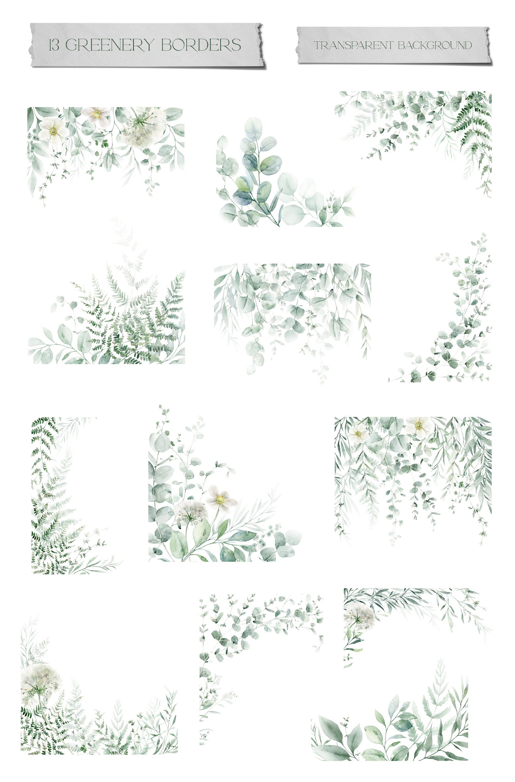 Greenery Watercolor Clipart, Eucalyptus Png, Greenery Clip Art, Sage ...