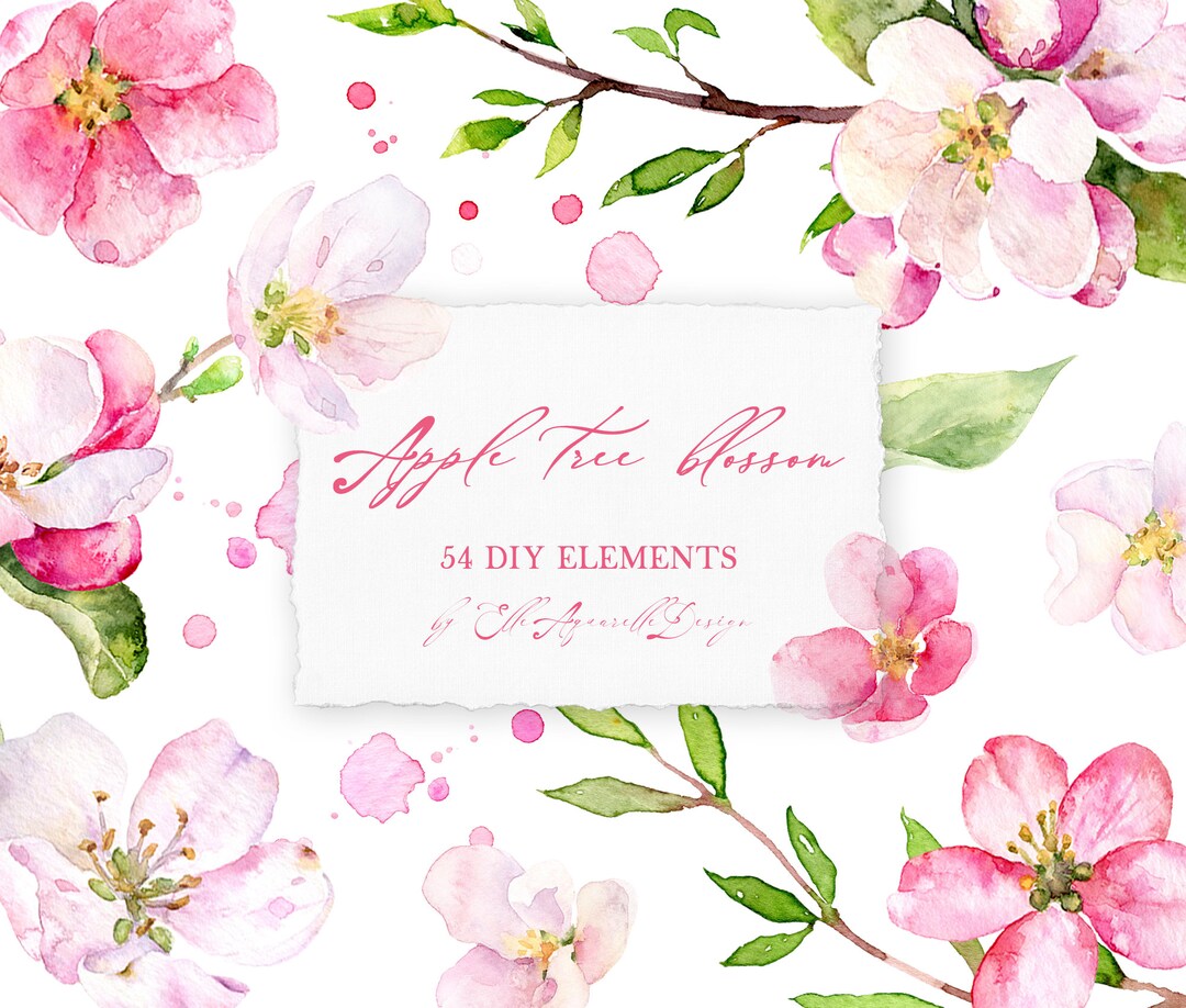 Apple Blossom Clipart, Watercolor Spring Flowers Clipart, Spring Floral ...