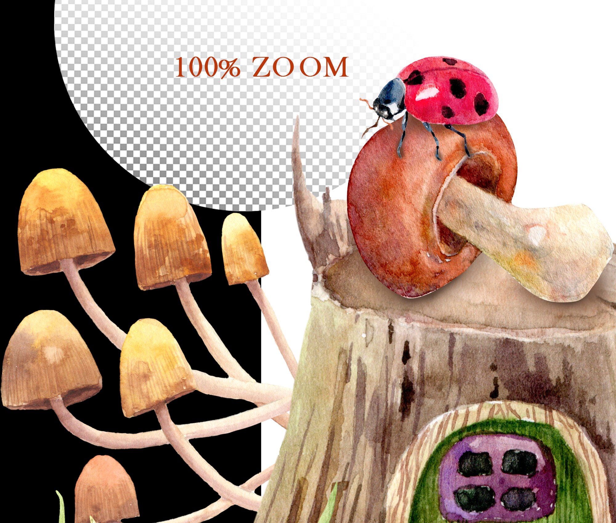 Watercolor Mushrooms Clipart Forest Plants Png Woodland - Etsy