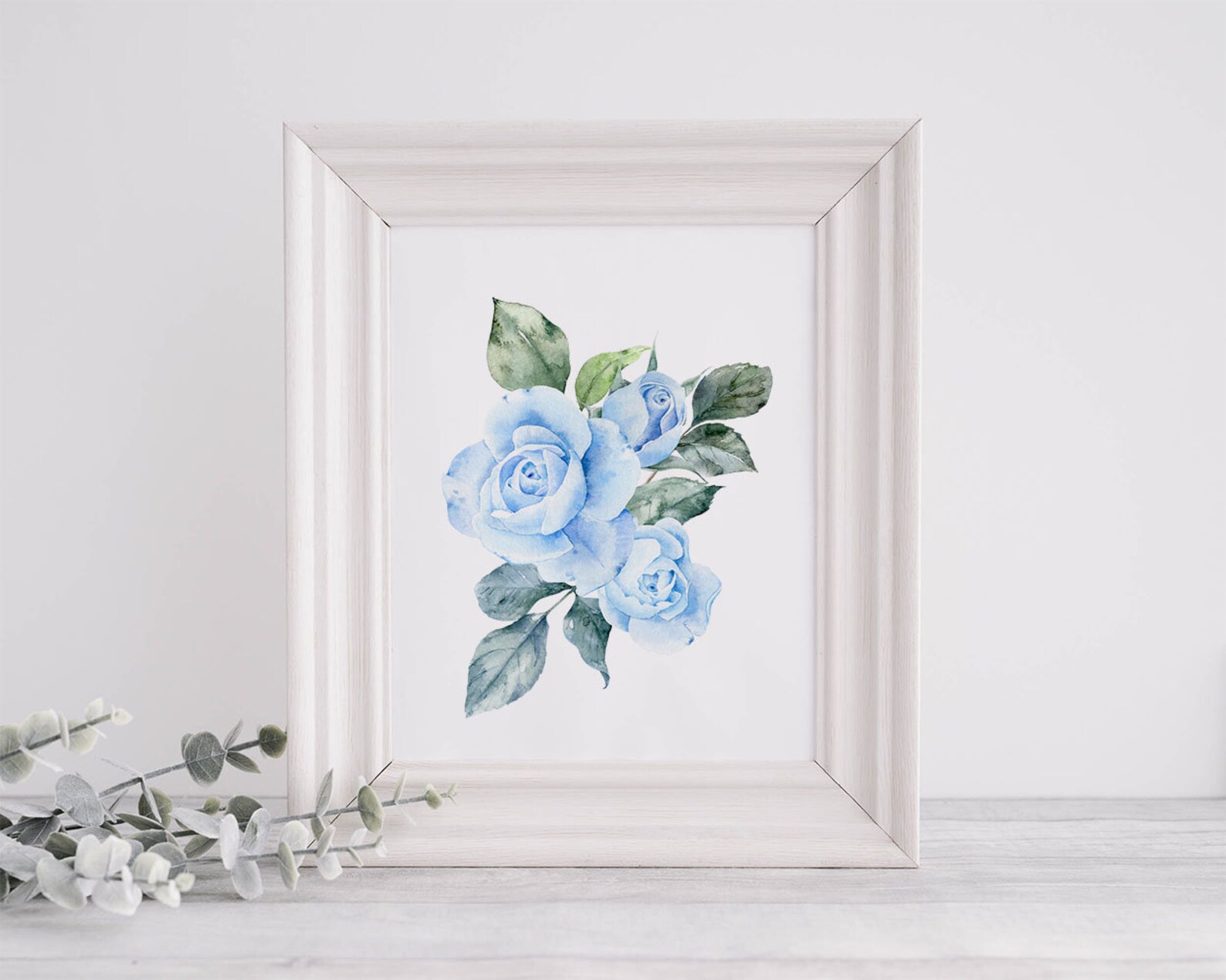 Watercolor Roses Clipart Floral Clipart Roses Png White - Etsy