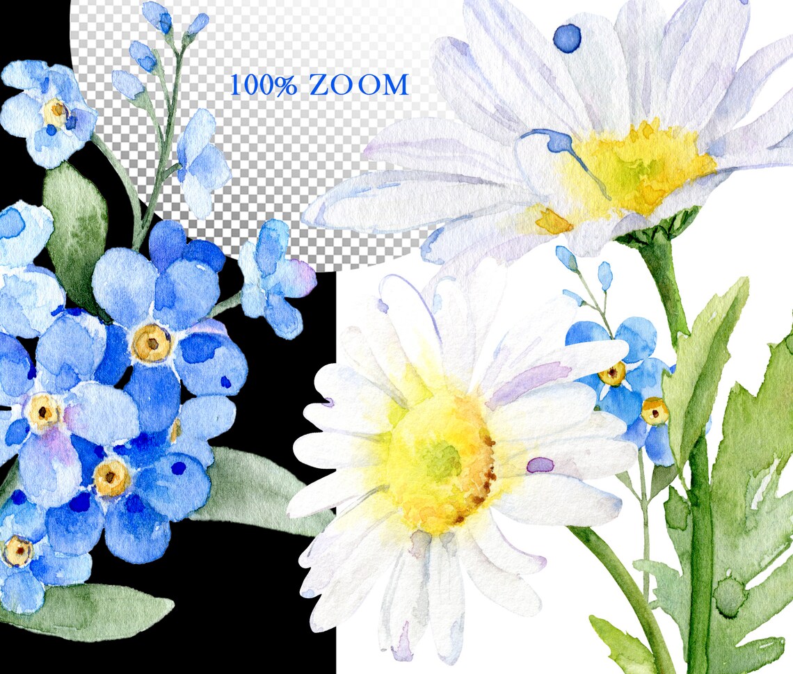Watercolor Daisy Clipart Floral Clipart Field Flowers Clip - Etsy