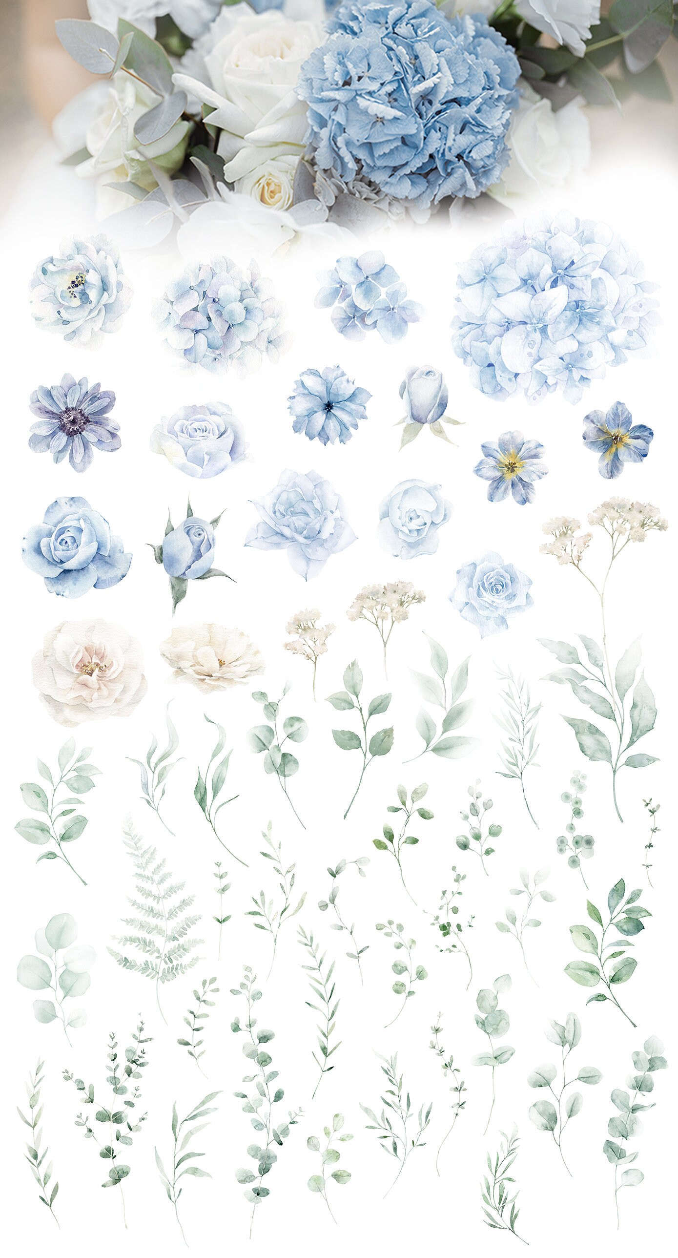 Dusty Blue Floral Clipart Dusty Blue Flowers Watercolor - Etsy Canada