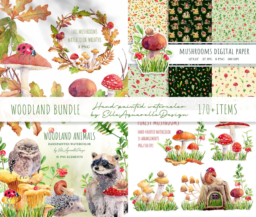 Watercolor Forest Animals Clipart Bundle, Woodland Animals Clipart ...