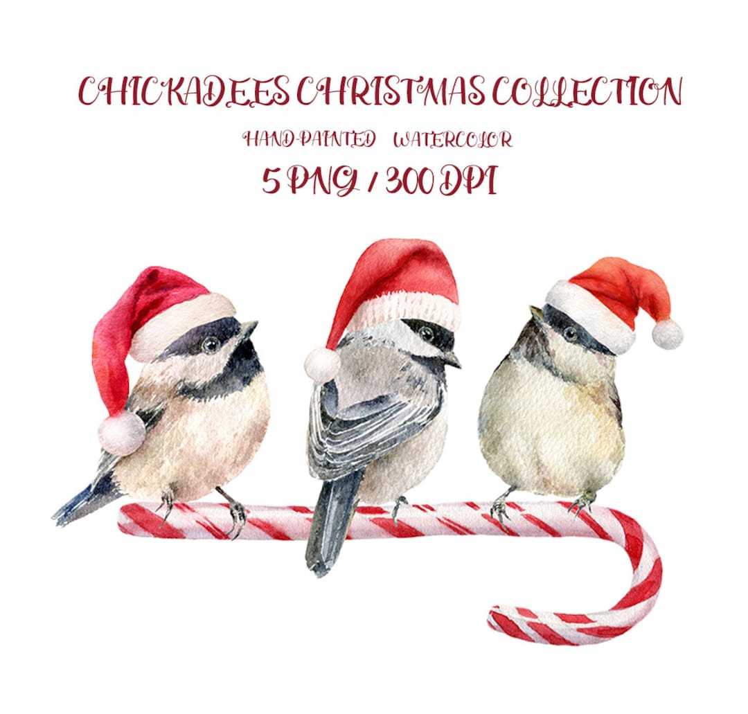 Chickadee Clipart, Watercolor Winter Birds, Bird Clip Art, Christmas Png, Chickadees ...