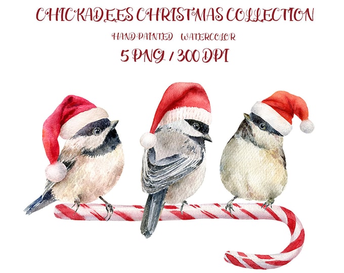11 PNG Christmas Birds PNG – Caroling Chick Clipart – Cute Festive ...