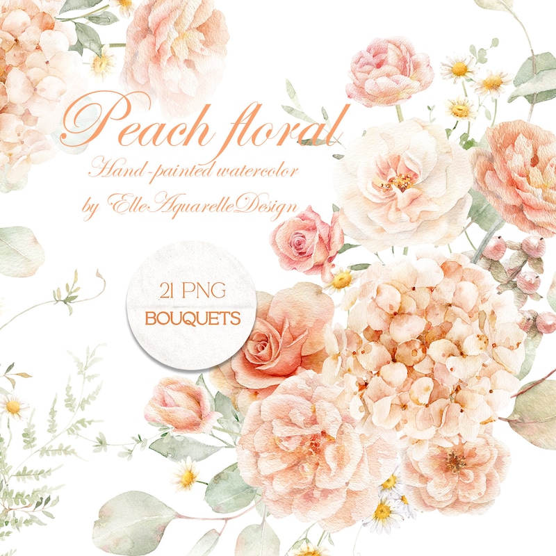 Peach Hand Drawn Clipart - Etsy UK