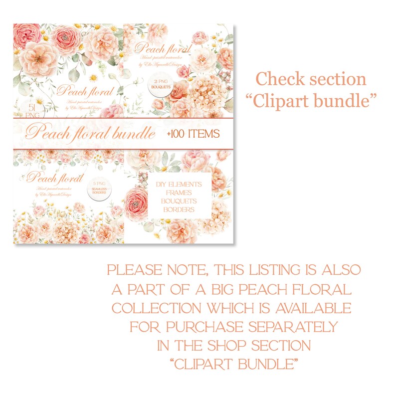 Real Watercolor Floral Border Clipart Blush Flower Graphics Peach ...