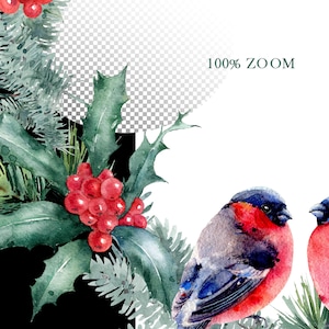 Watercolor Christmas Clipart Cute Winter Birds Clipart - Etsy