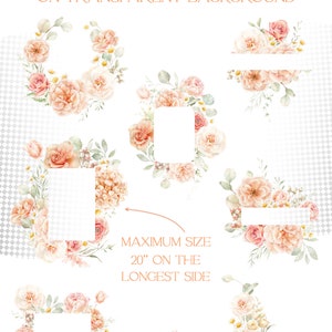 Peach Floral Clipart Bundle, Watercolor Blush Flowers Clipart ...