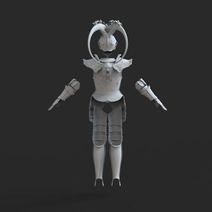Hoslow Custom Full Body Wearable Armor With Helmet 3D Model STL - Etsy