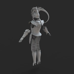 Hoslow Custom Full Body Wearable Armor With Helmet 3D Model STL - Etsy
