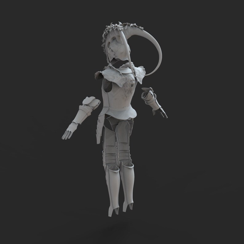 Hoslow Custom Full Body Wearable Armor With Helmet 3D Model - Etsy
