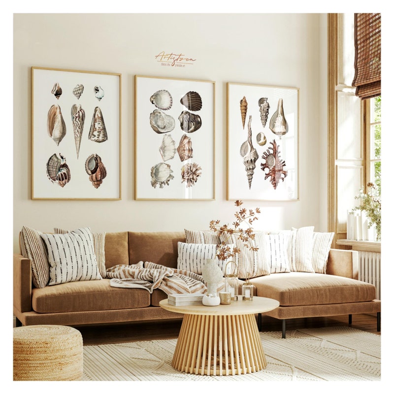 Seashell Wall Art - Etsy