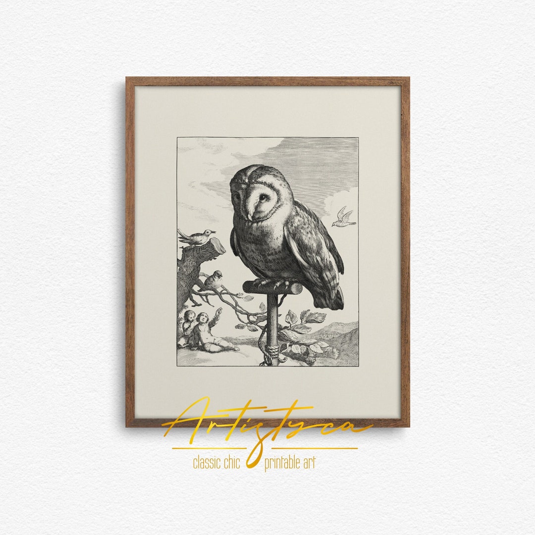 OWL Bird Vintage Drawing, Barn Owl Old Art Print, Pet Vintage Digital ...