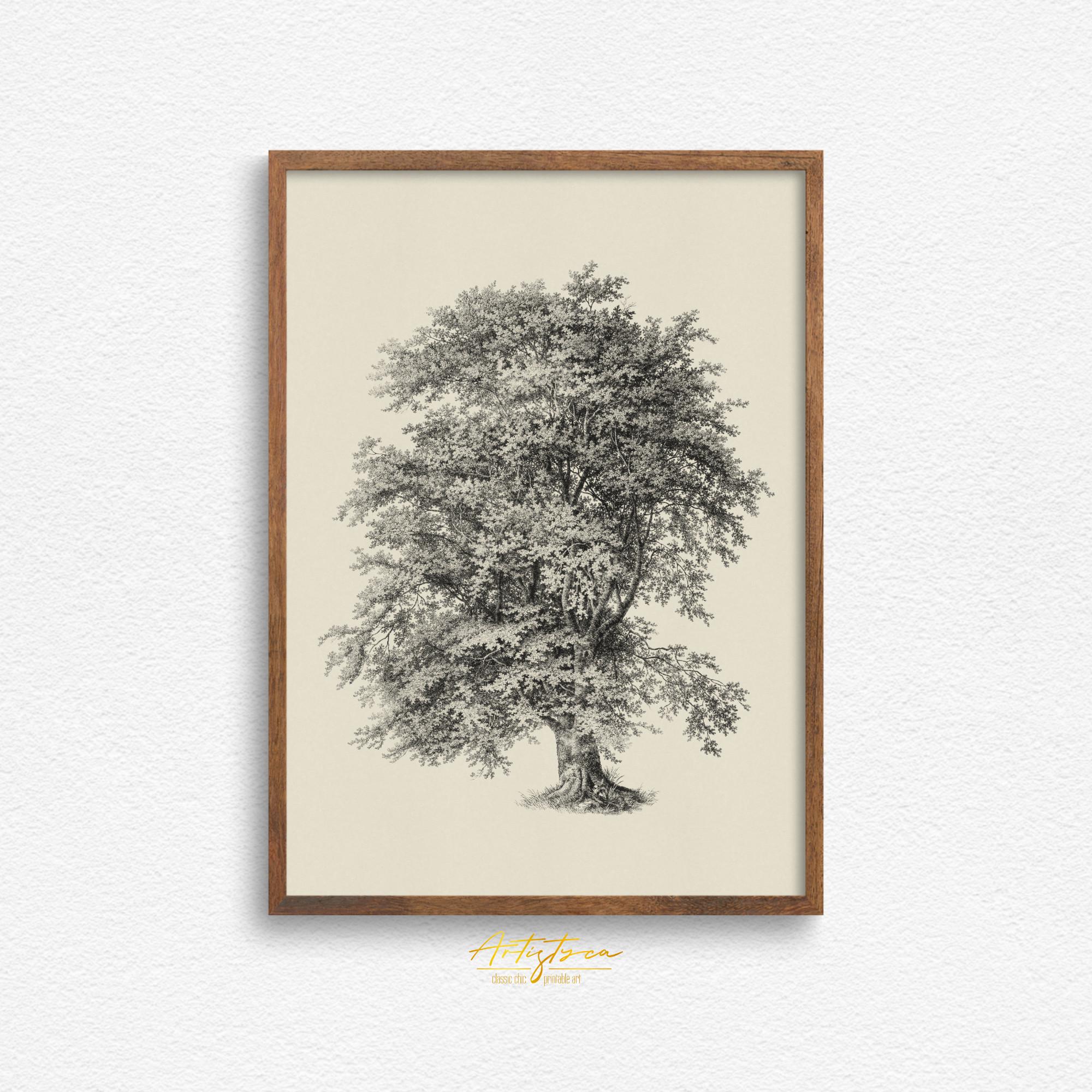 OAK Tree Gallery Set, 2 Matching Print Set, TREE Digital Sketch, Cozy ...