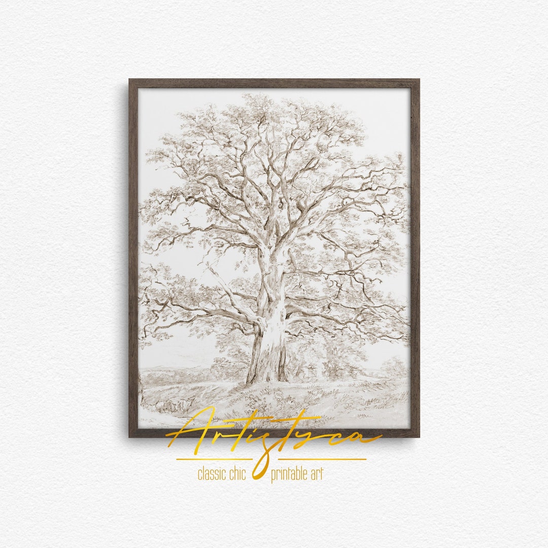 TREE Pencil DRAWING, OAK Tree Landscape, Vintage Sketch Print ...