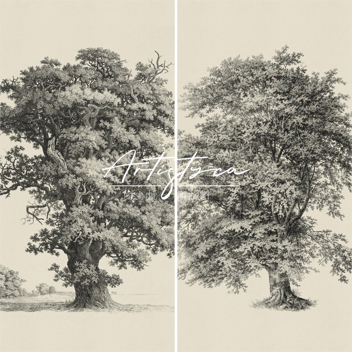 OAK Tree Gallery Set, 2 Matching Print Set, TREE Digital Sketch, Cozy ...